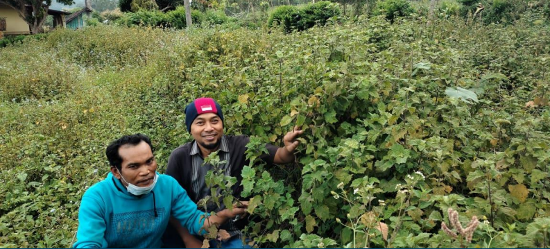 CV. RIZKI ALAM LESTARI